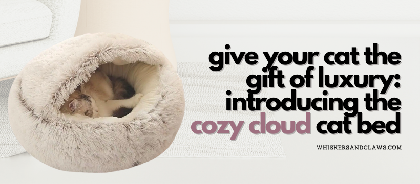 Give Your Cat the Gift of Luxury: Introducing the Cozy Cloud Cat Bed – Whiskers & Claws