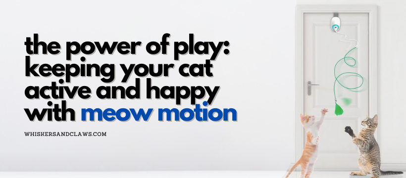 The Power of Play: Keeping Your Cat Active and Happy with Meow Motion ...