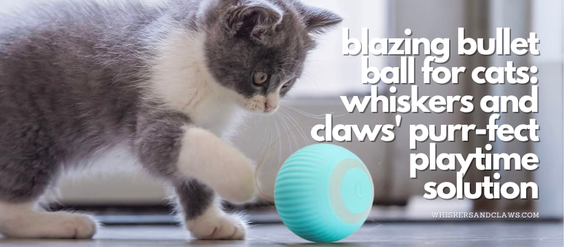 Blazing Bullet Ball for Cats: Whiskers and Claws' Purr-fect Playtime S ...