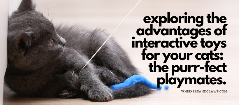 Exploring the Advantages of Interactive Toys for Your Cats: The Purr-f ...