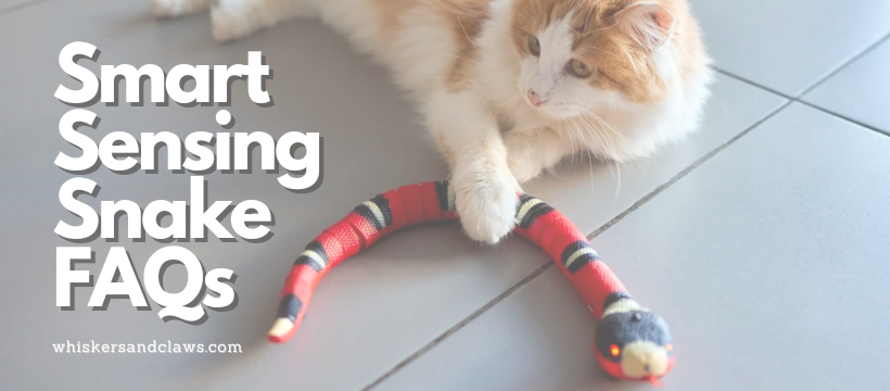 Smart Sensing Snake FAQs – Whiskers & Claws