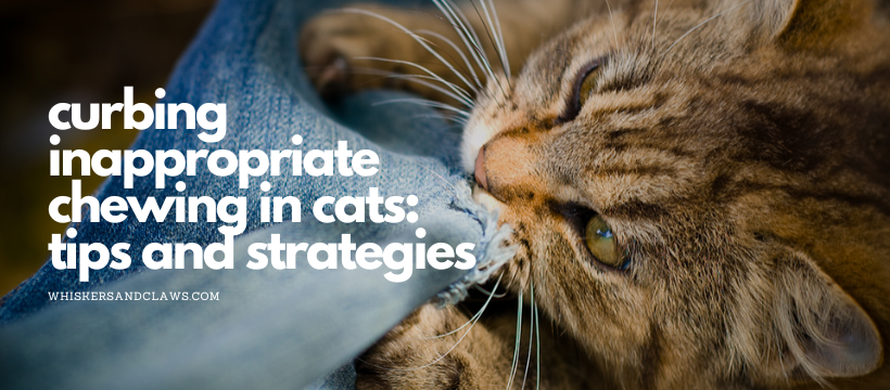 Curbing Inappropriate Chewing in Cats: Tips and Strategies – Whiskers ...