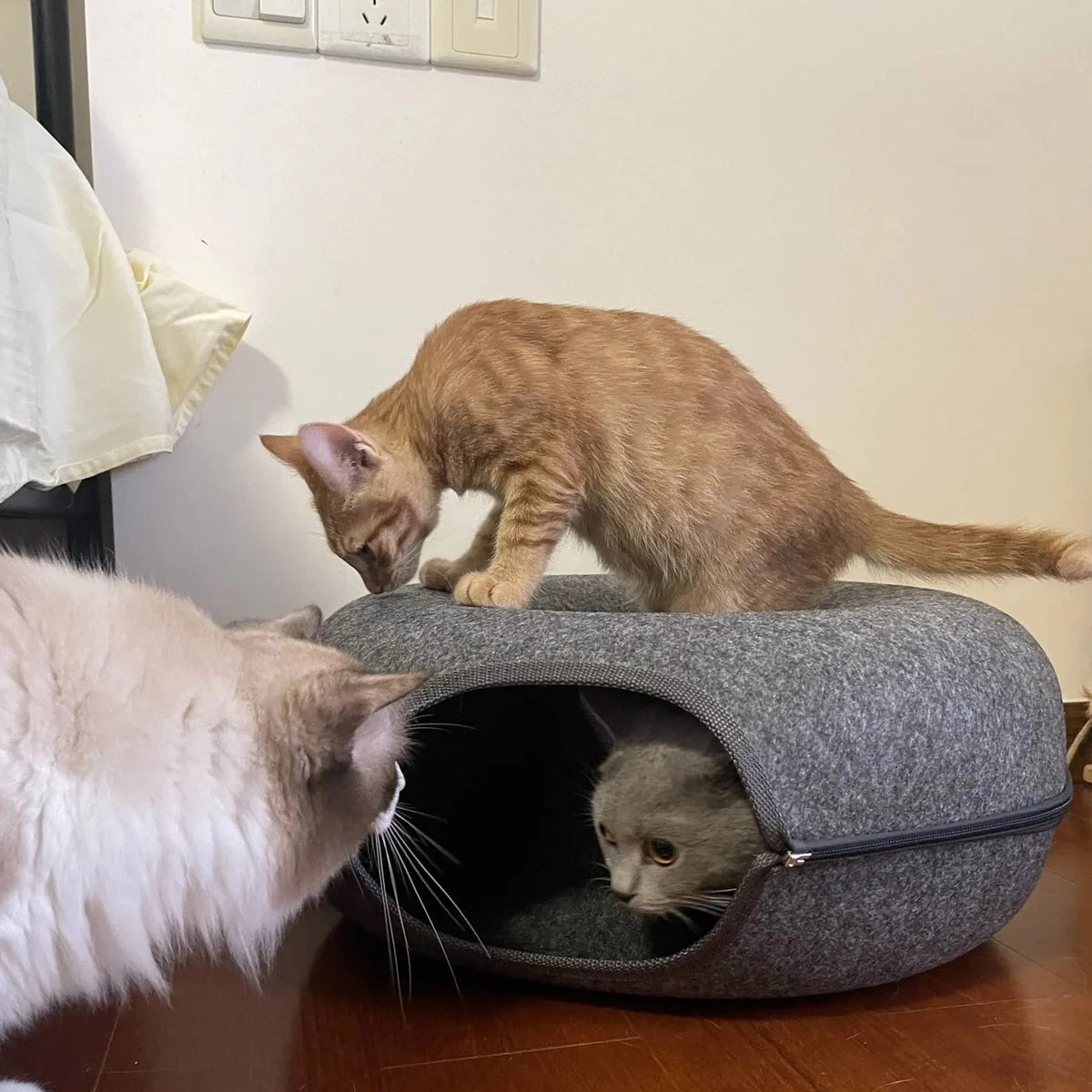 Cuddle Cave – Whiskers & Claws