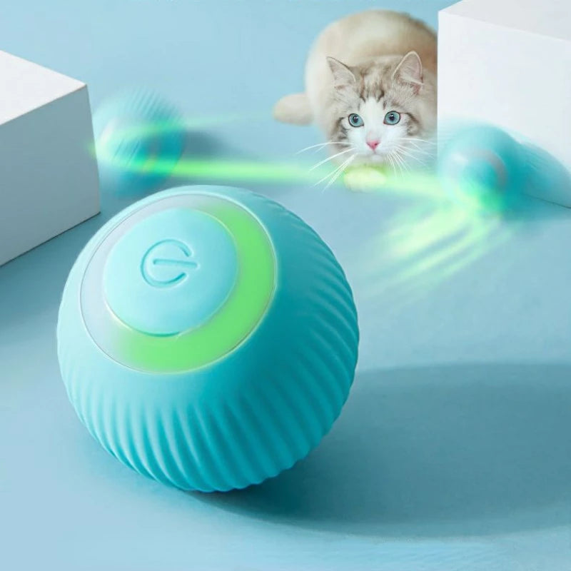 Blazing Bullet Ball – Whiskers & Claws