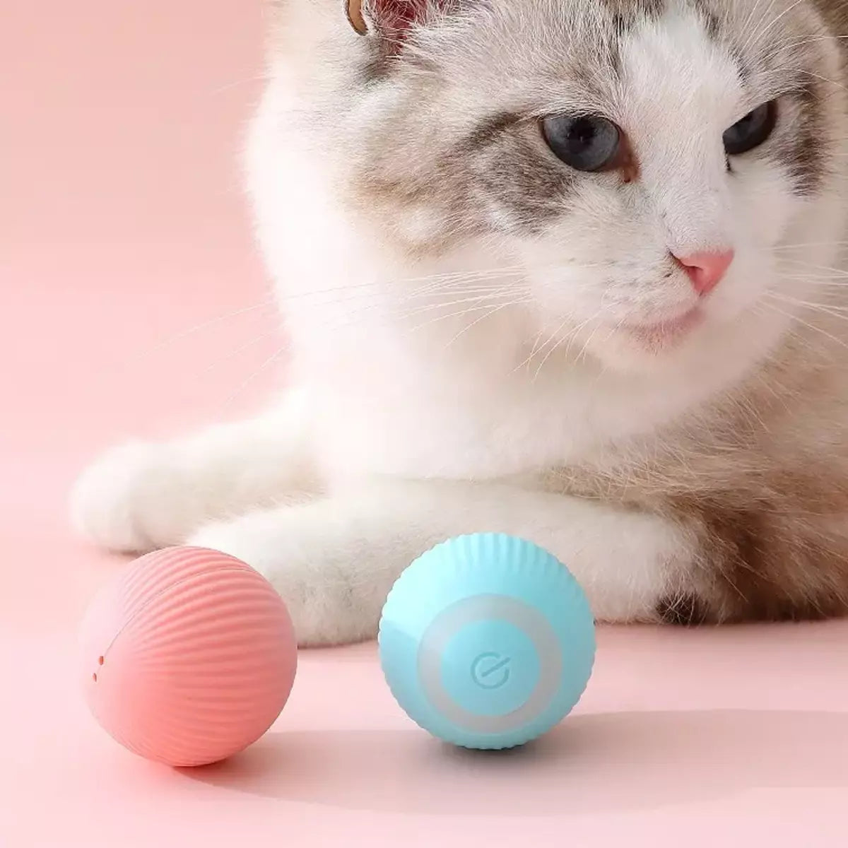 Blazing Bullet Ball – Whiskers & Claws